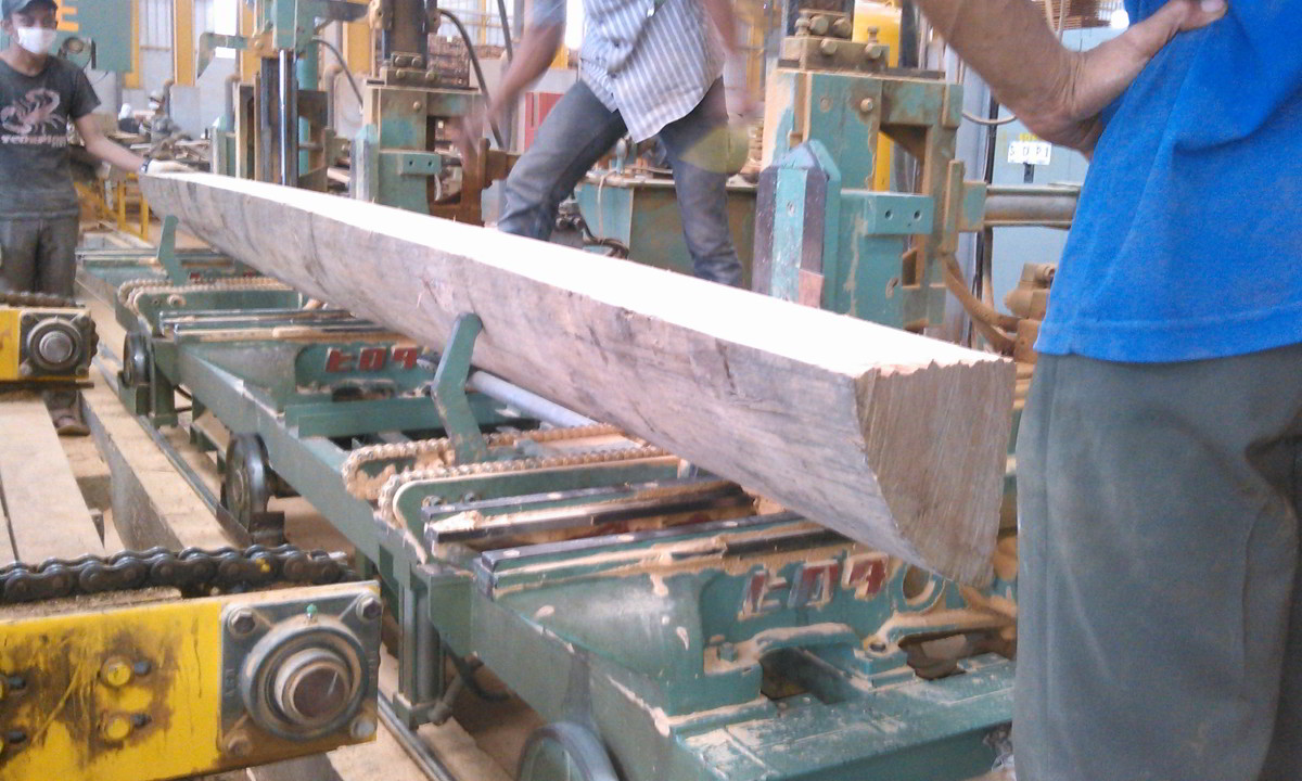 Firewood - Biomasa Forestal SL